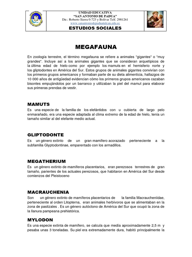 MEGAFAUNA | PDF | Megafauna | Rinoceronte