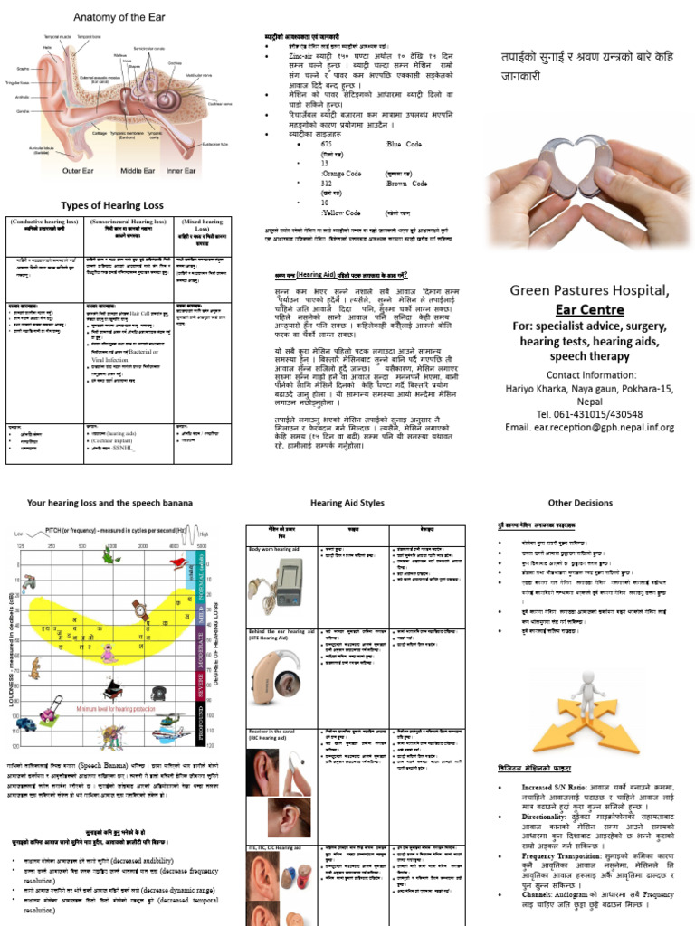 My Hearing Loss and My Hearing Aids | PDF