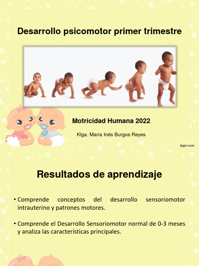 Desarrollo Psicomotor 0-3 Meses | PDF | Feto | Pelvis