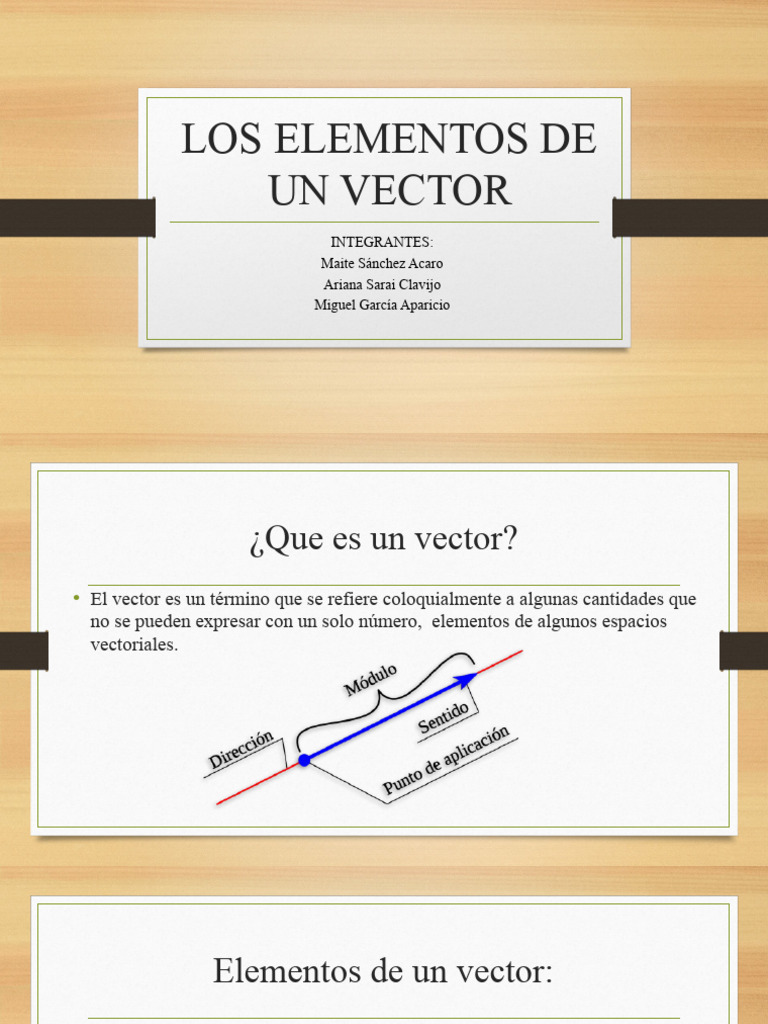 Los Elementos de Un Vector | PDF | Vector Euclidiano | Física