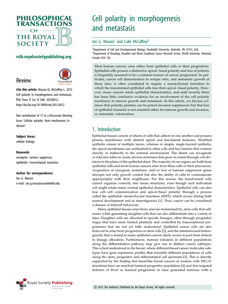 Polaritas Basal | PDF | Metastasis | Carcinogenesis