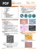 Direct Sputum Smear Microscopy (DSSM) PDF | PDF | Tuberculosis | Medical Specialties