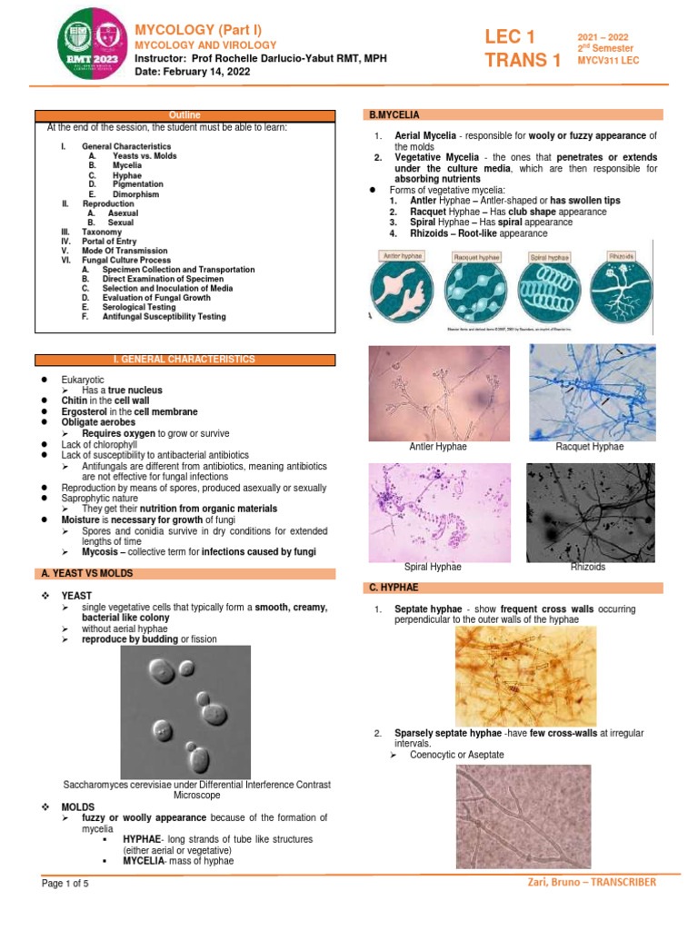 Mycv Prelims To Finals | PDF | Fungus | Mycology