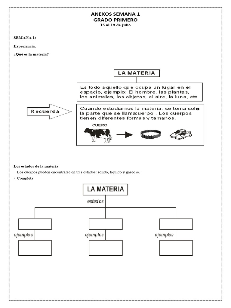 Anexos Semana 1 Iii Periodo Naturales | PDF | Adn | Organismos