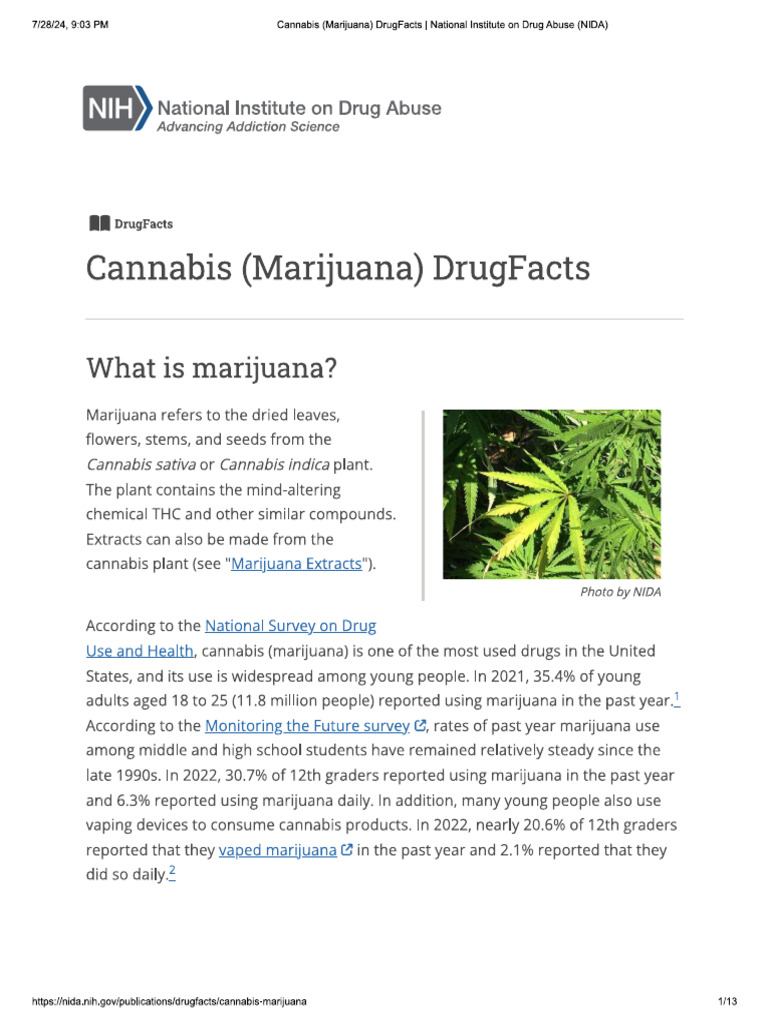 THC Facts | PDF