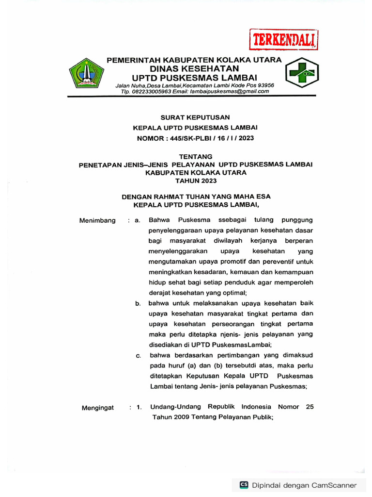 SK Penetapan Jenis-Jenis Pelayanan | PDF