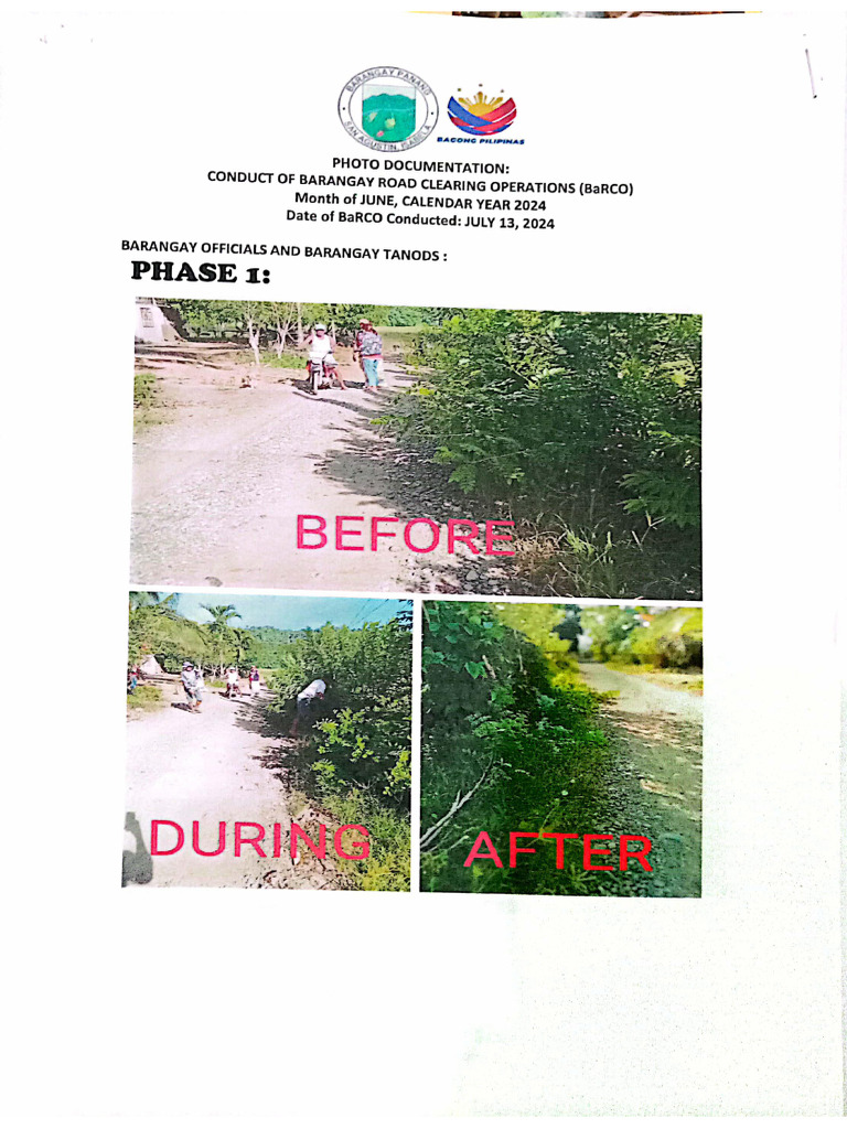 Brgy Panang | PDF