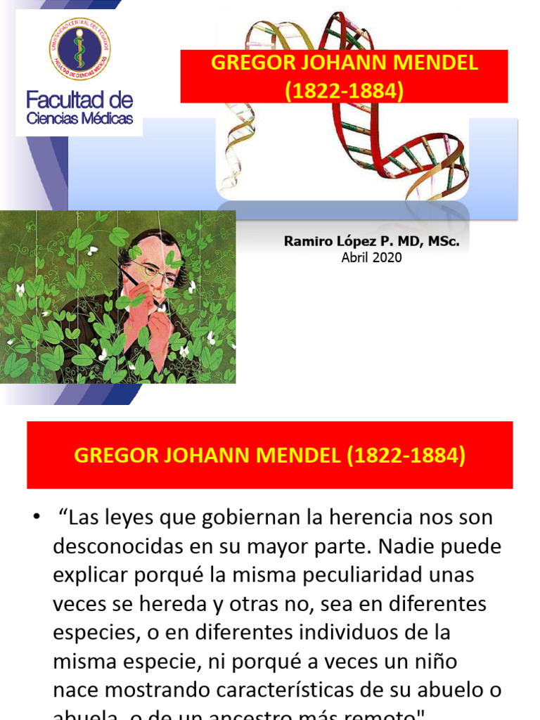 C2 Gregorio Mendel - Extra | PDF | Dominancia (Genética) | Alelo