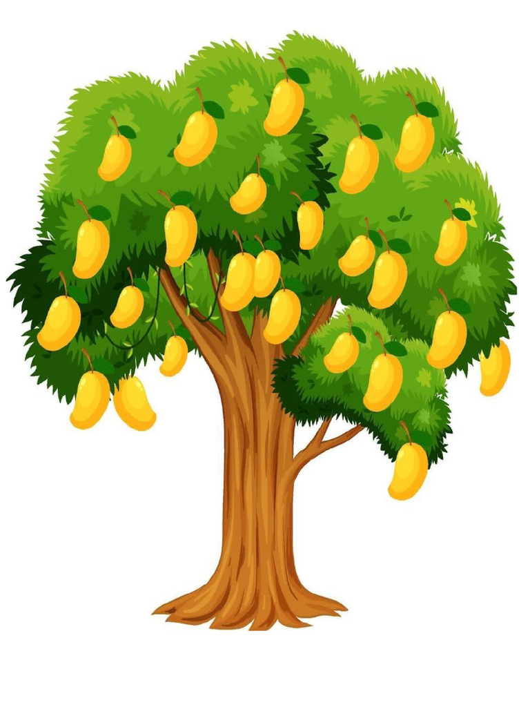Mango Tree | PDF