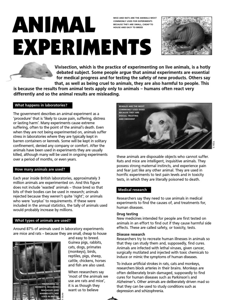 Animal Experiments | PDF | Animal Testing | Health Sciences