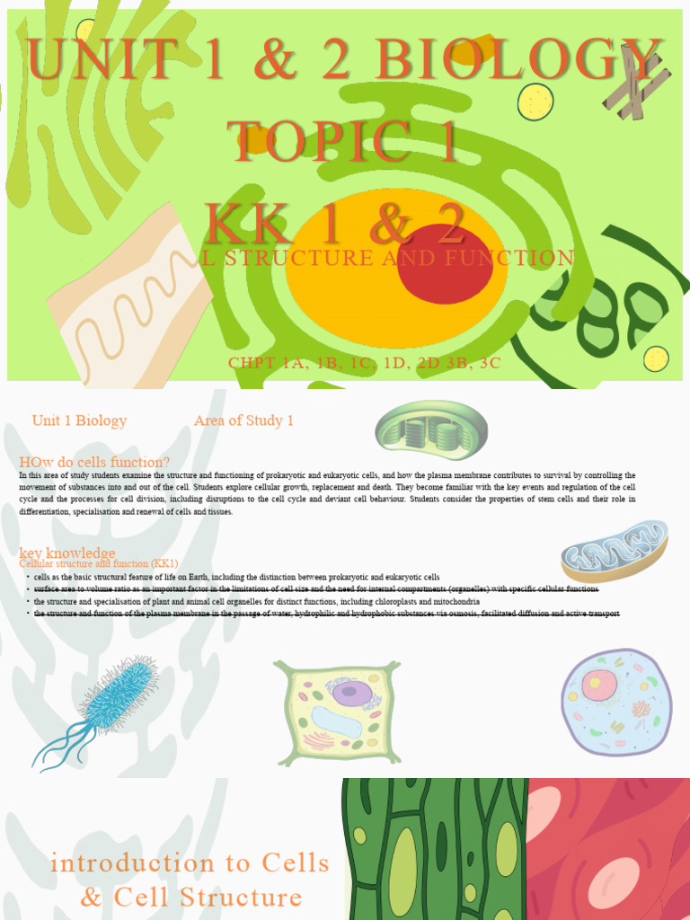Topic 1 - Cell Structure and Cell Cycle Unit 12 Biology 2024 (Autosaved) | PDF | Mitosis | Cell ...