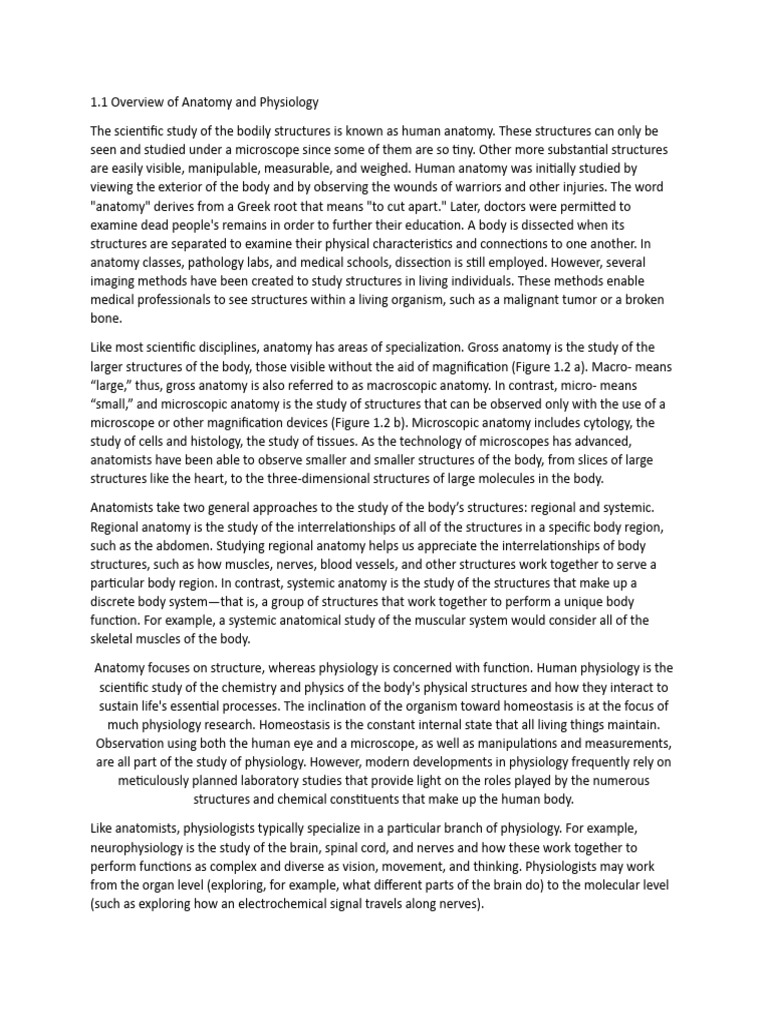 ANAPHY | PDF | Anatomical Terms Of Location | Anatomy