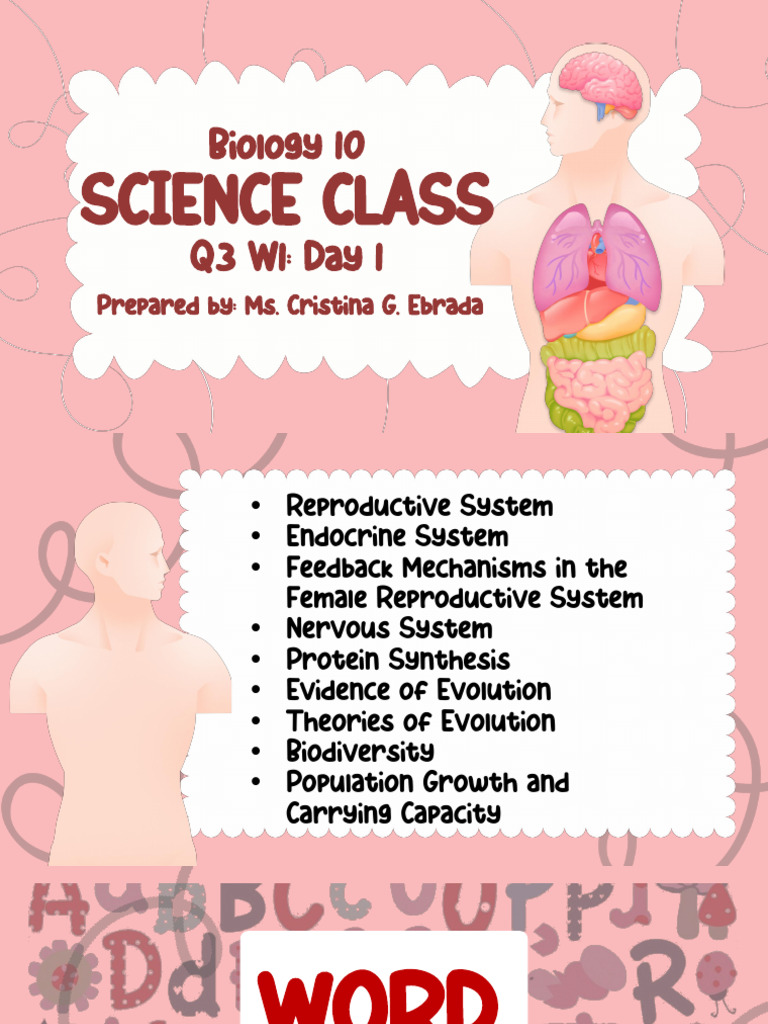 Male Reproductive System Pdf Androgen Reproductive System