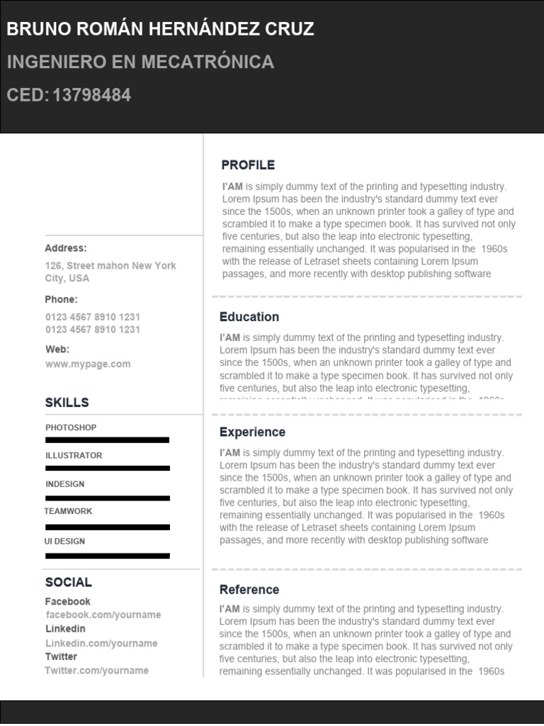 Mechatronics Engineer Profile: Bruno Román | PDF | Communication Design ...
