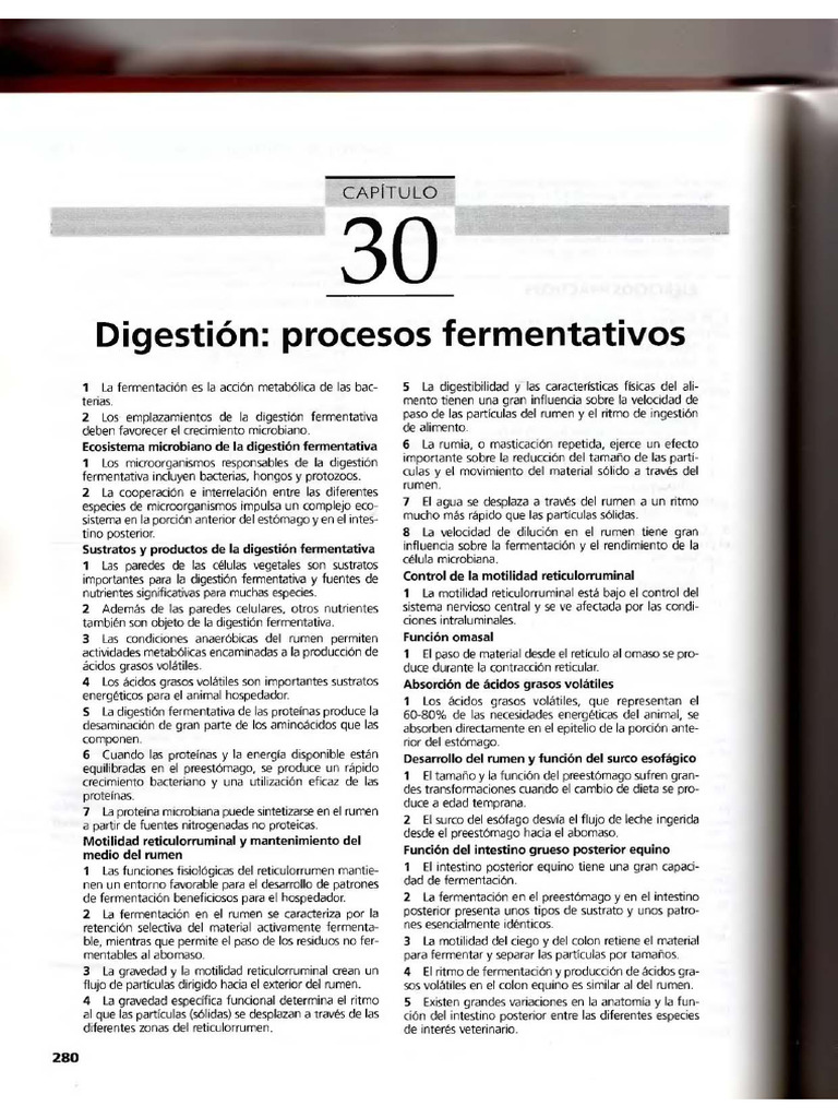Digestión - Procesos Fermentativos | PDF