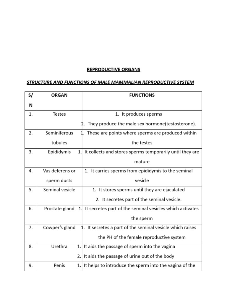 Reproductive Organs | PDF | Reproductive System | Mammal Reproductive ...