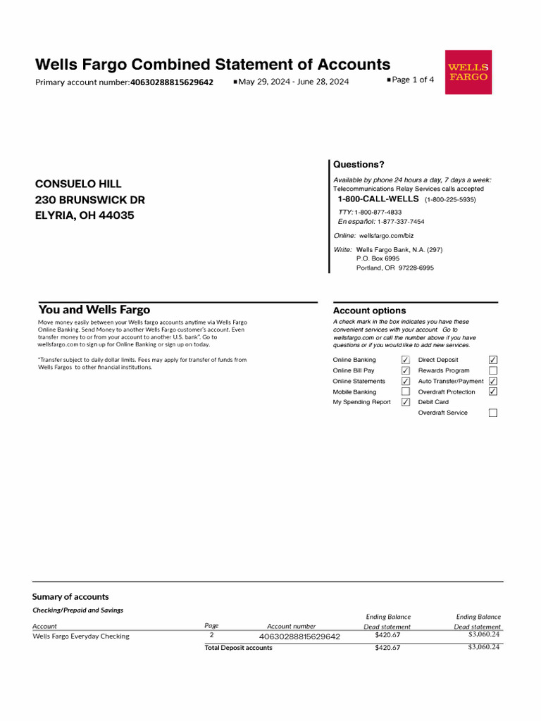 Consuelo Hill Account Statement | PDF | Credit Card | Banks