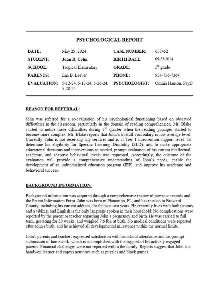 Social Developmental Write Up | PDF | Individualized Education Program | Behavioural Sciences