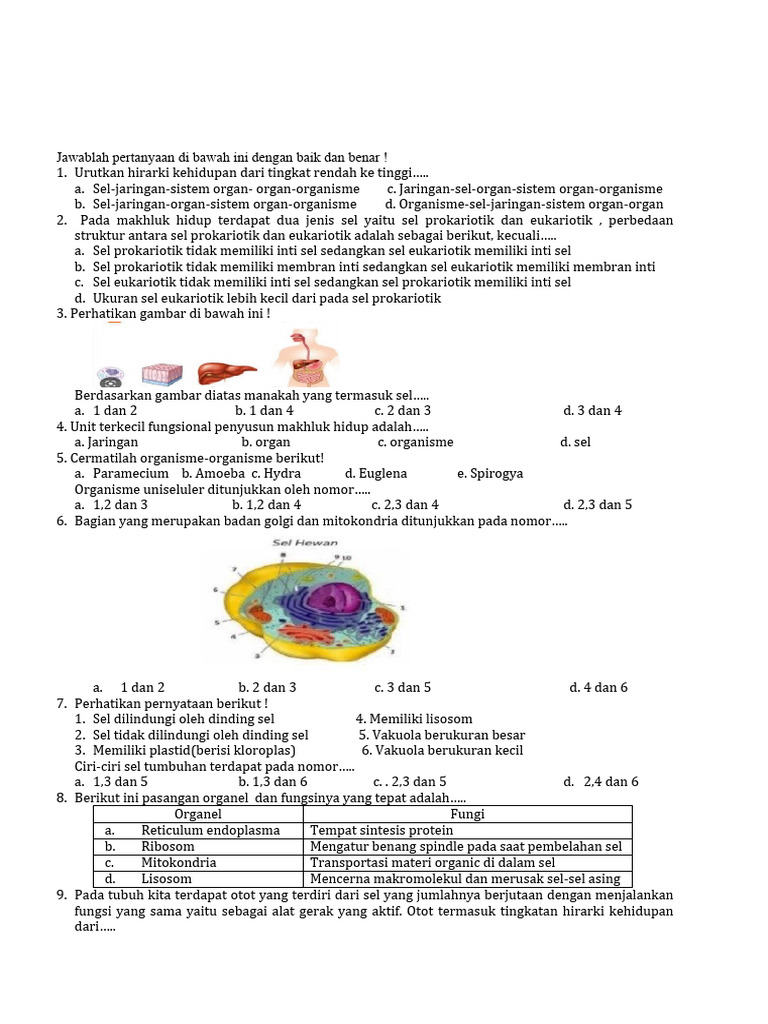 Ciri dan Contoh Organisme Uniseluler | PDF