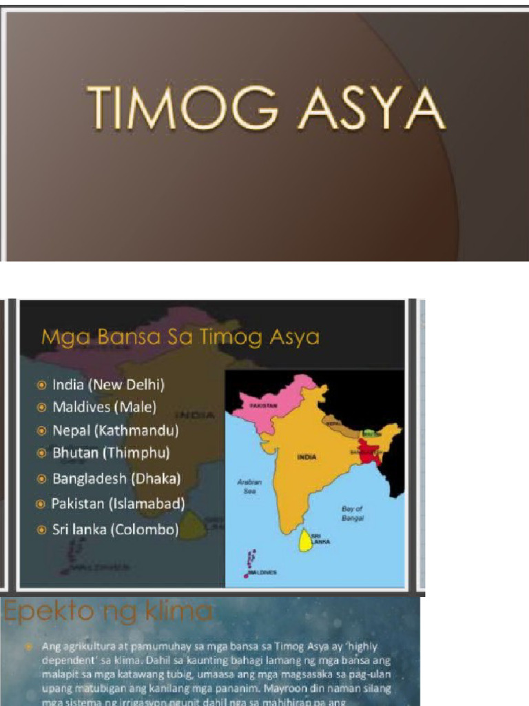 C - Katangian NG Timog Asya | PDF