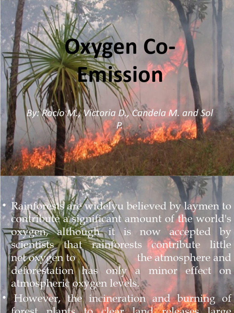 Impact of Deforestation on CO2 Levels | PDF | Social Science | Science ...