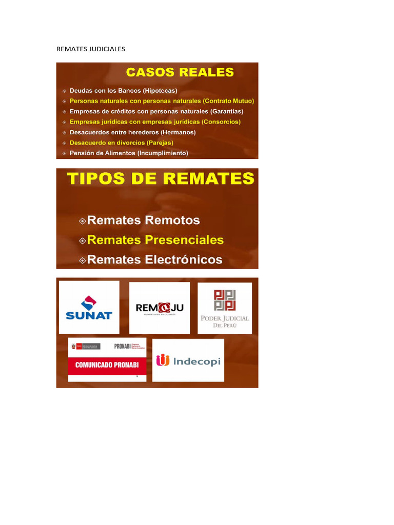 Guía de Remates Judiciales en Perú | PDF | Finanzas y dinero | Derecho