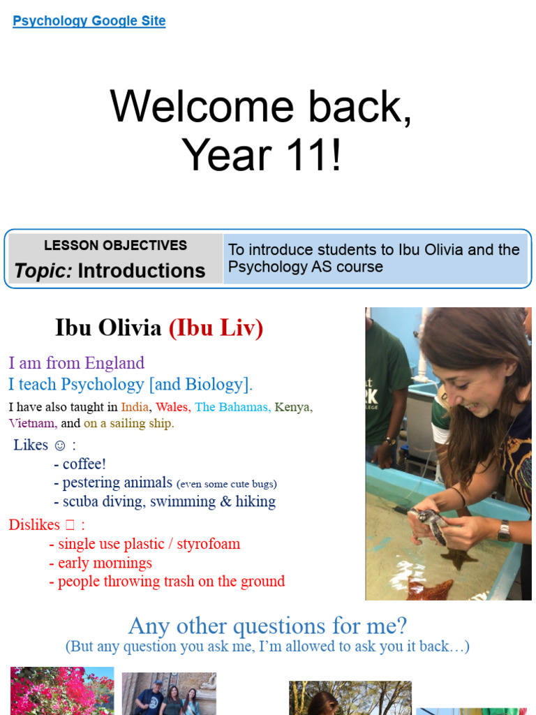 introduction | PDF | Extraversion And Introversion | Psychology