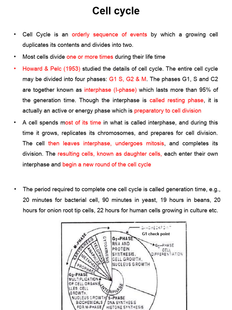Cell Cycle | PDF | Mitosis | Cell Cycle