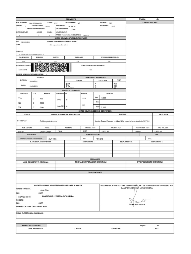 Pedimento en Blanco Formato 1 | PDF | Economias | Comercio