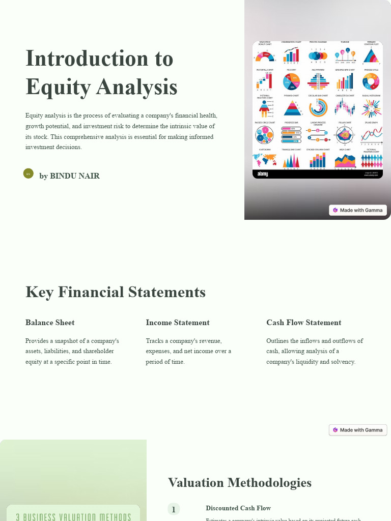 Equity Analysis: Key Insights & Risks | PDF | Valuation (Finance ...