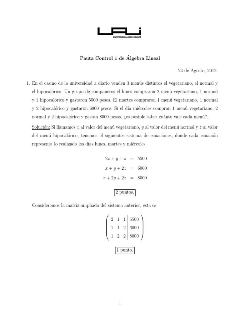 Pauta Control 1 V4 - 2 | PDF | Matriz (Matemáticas) | Análisis matemático