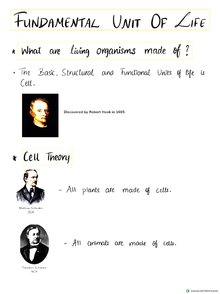 Open Book | PDF