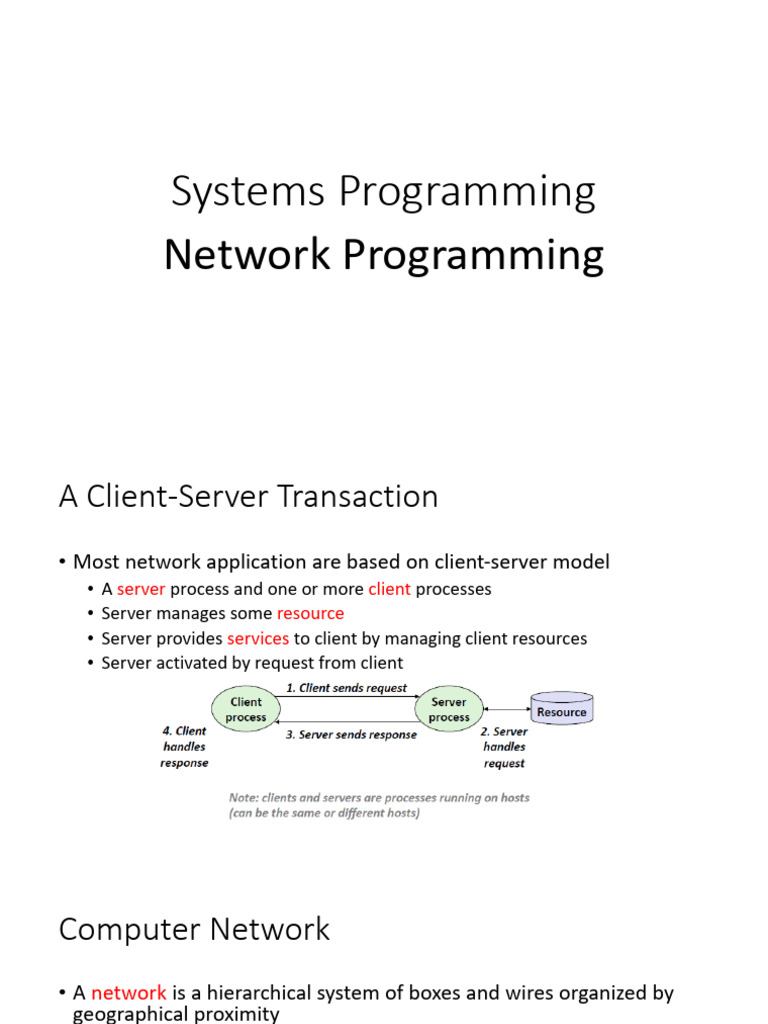 09 Systems Programming Network Programming Pdf Internet Protocols Computer Network 