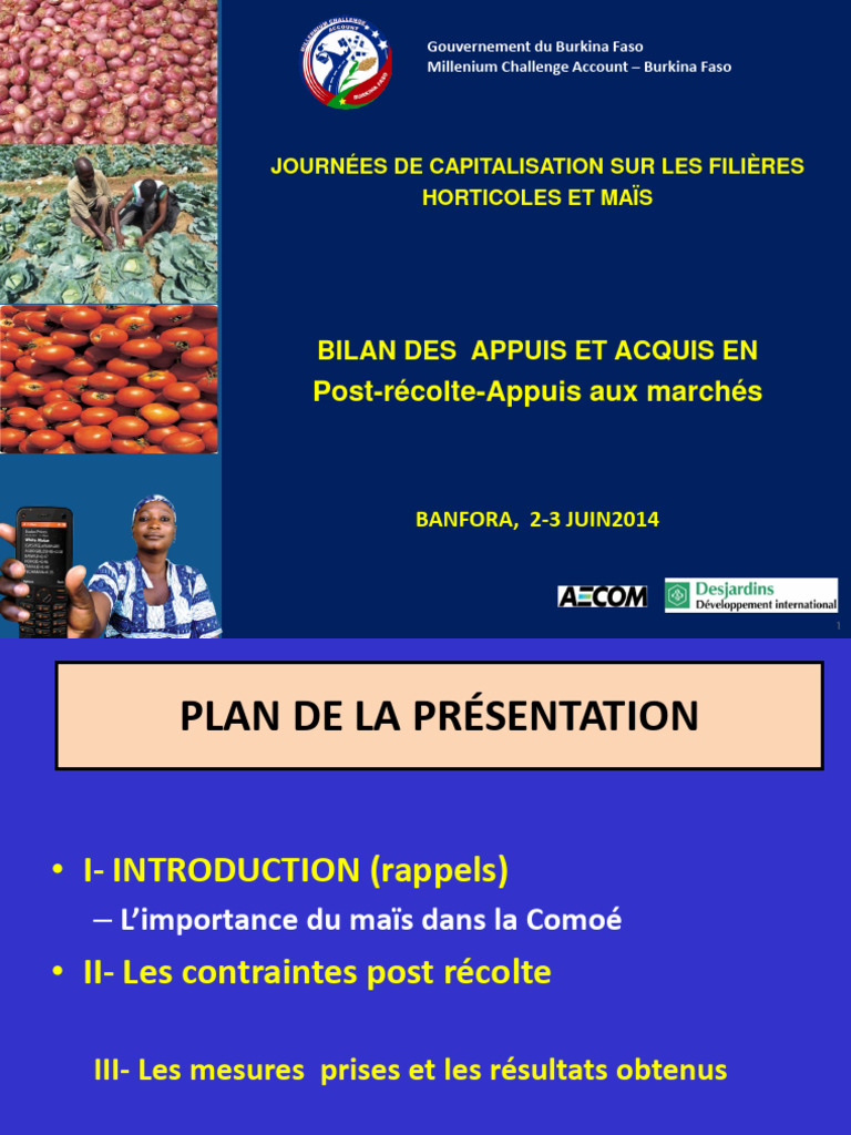 Bonnes pratiques de conservation du maïs | PDF | Céréale | Maïs