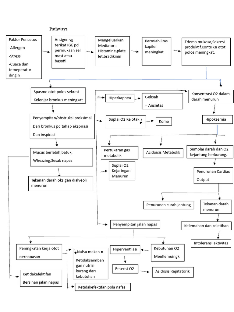 Asma Pathways | PDF