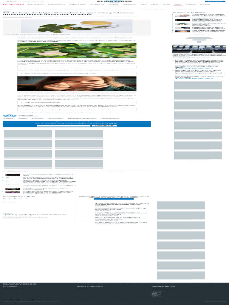 Té de Hoja de Higo - Descubre Lo Que Esta Poderosa Infusión Puede Hacer | PDF | Té