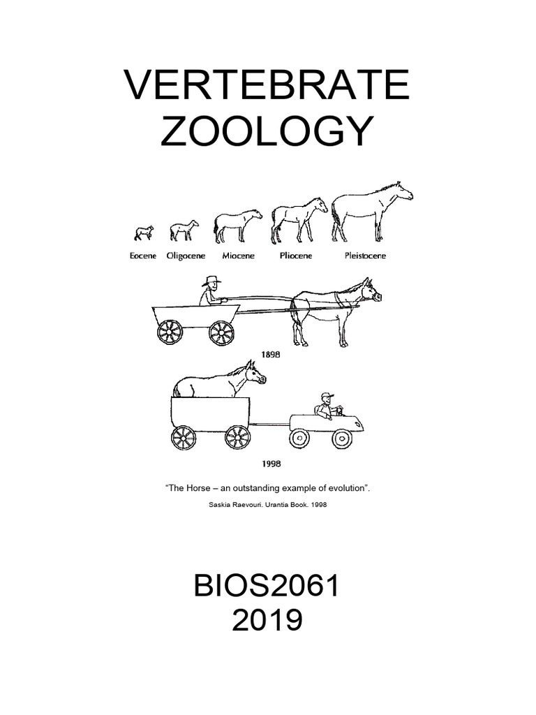 Vertebrate Zoology Important Outlines | PDF | Occupational Safety And ...