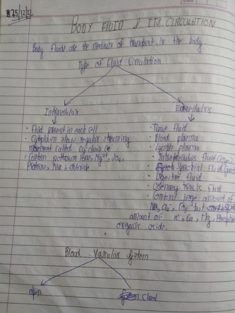 Body Fluids and Circulation Notes | PDF