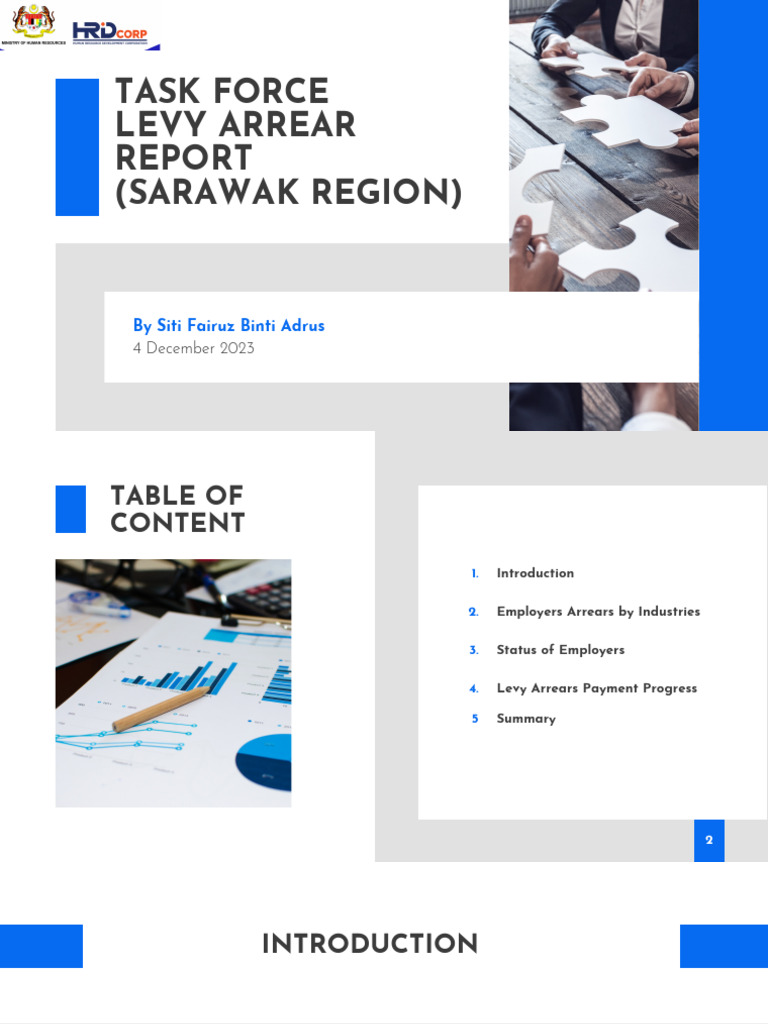Official Report - Task Force Levy Arrears 2023 | PDF