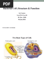 Hydrothermal Alteration and Alteration Types | PDF | Minerals | Rock ...