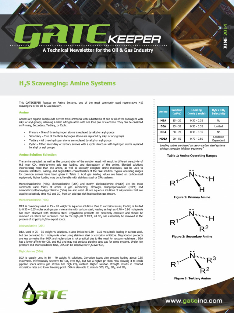 H2S Scavenging - Amine Systems | PDF | Amine | Chemistry