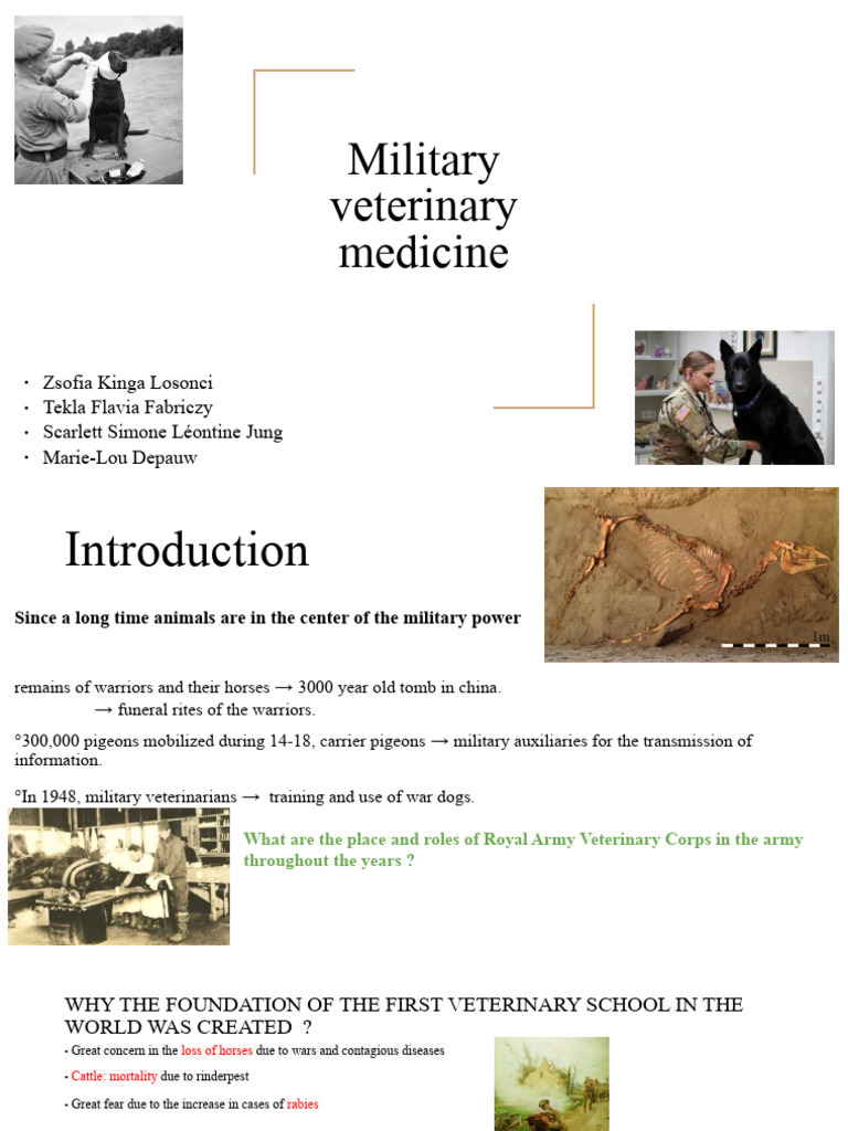 Military Veterinary Medicine | PDF | Military | Veterinary Medicine