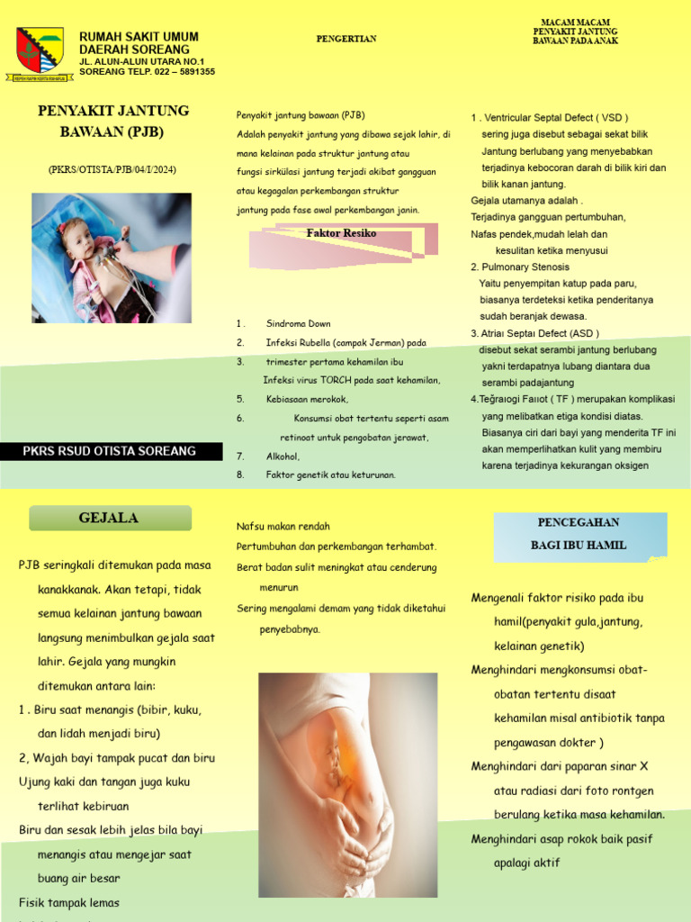 Leaflet PJB Pada Anak Fix | PDF