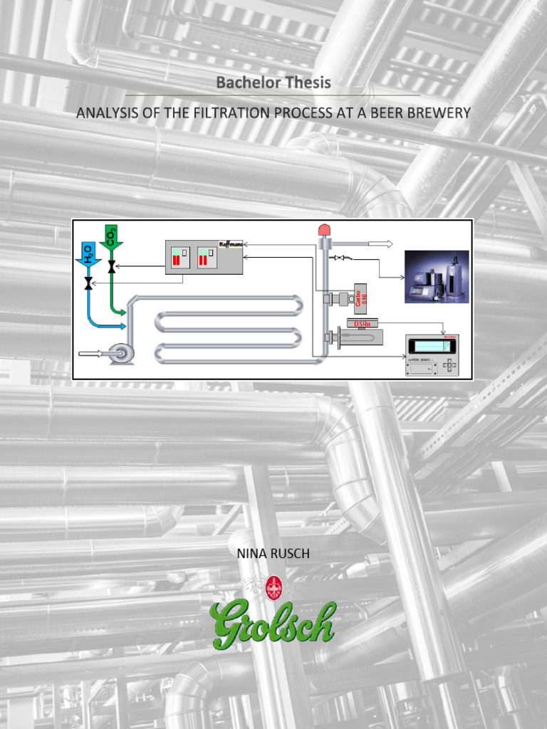 ANALYSIS OF THE FILTRATION PROCESS AT A BEER BREWERY-Bachelor Thesis ...