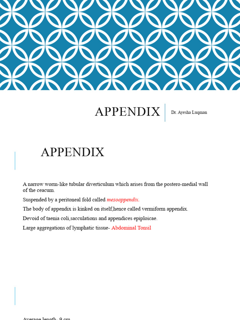 Appendix | PDF | Human Anatomy | Anatomy