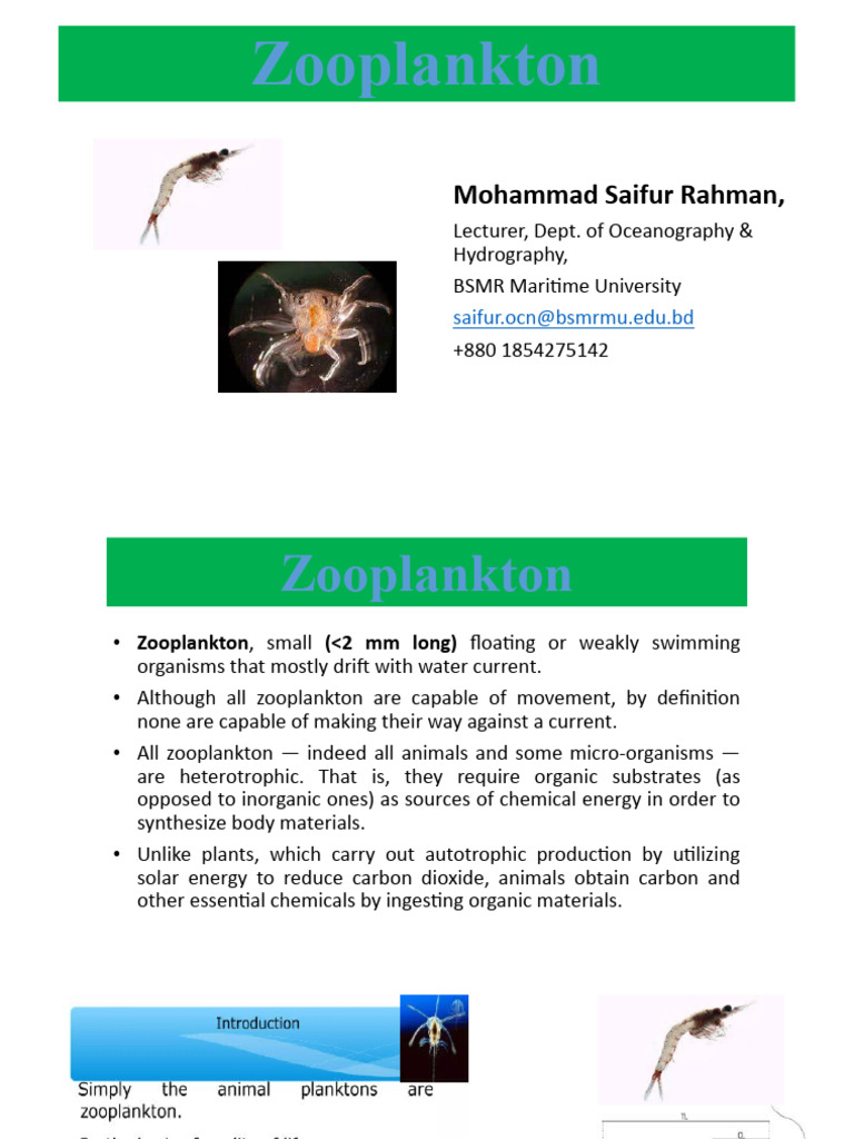 Understanding Zooplankton Migration Patterns | PDF | Earth Sciences ...