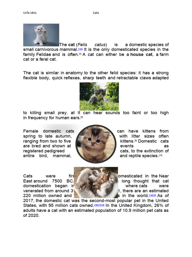 Word Assignment | PDF | Home & Garden | Science & Mathematics