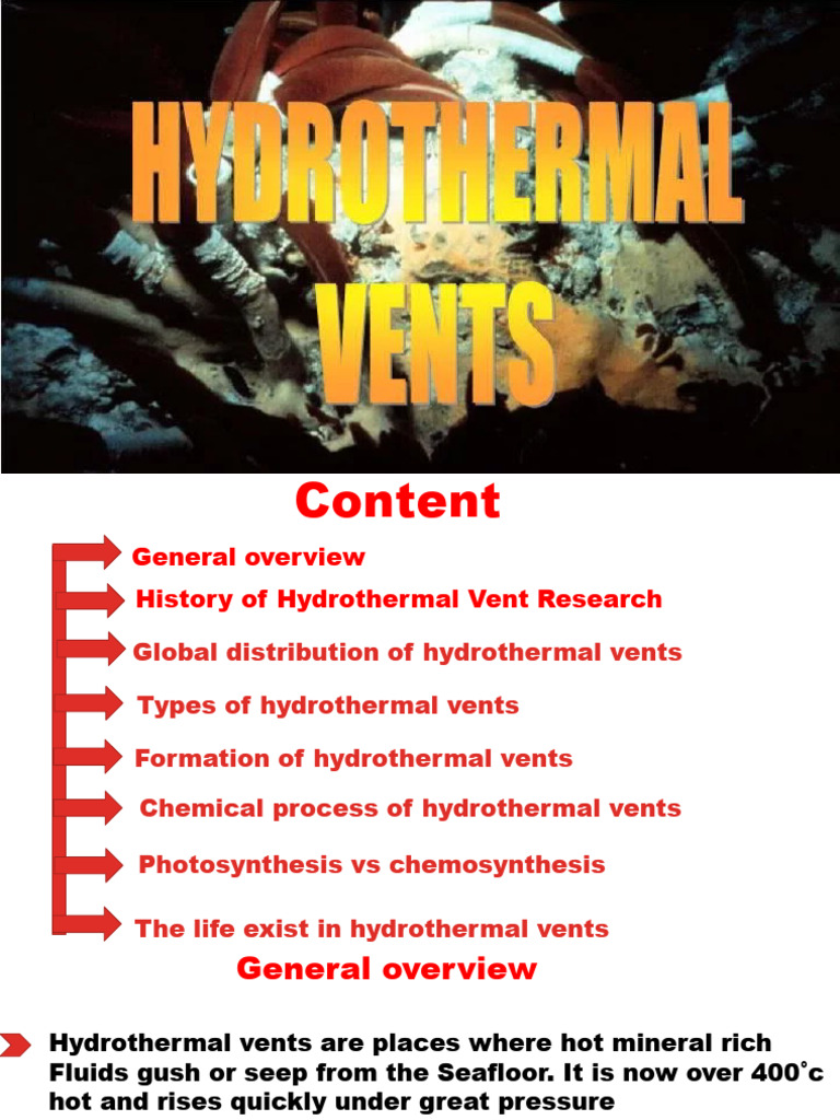 Hydrothermal Vents 22311027 A | PDF