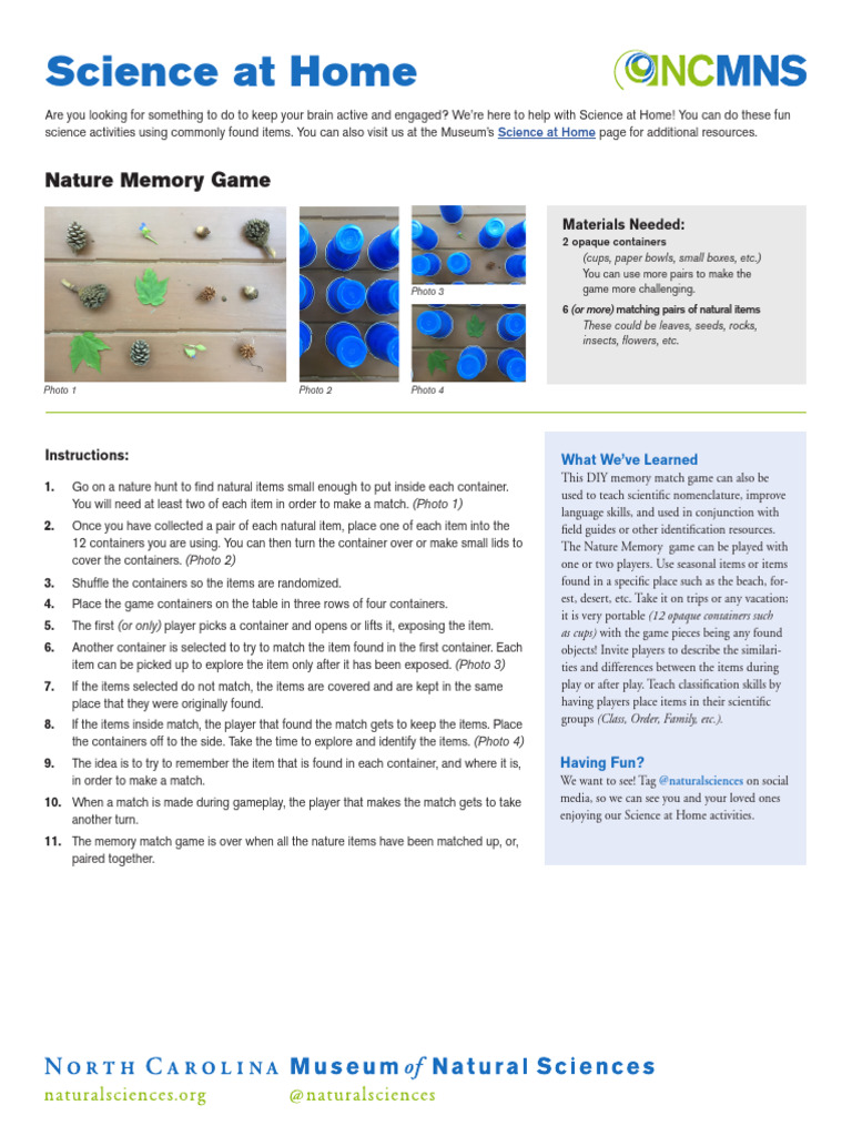 Nature Memory Game DIY Guide | PDF
