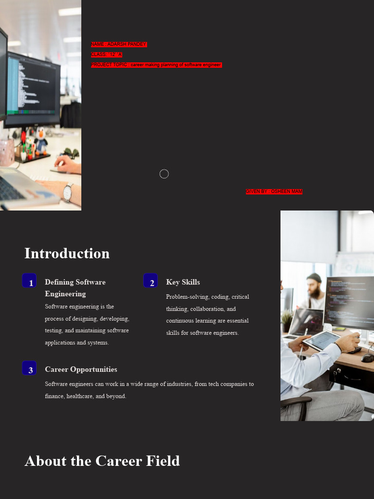 Summer Vacation Project Career Planning Process of Software Engineer | PDF | Software ...